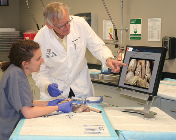 Anatomy - teaching resource | Lt + LabStation | ADInstruments